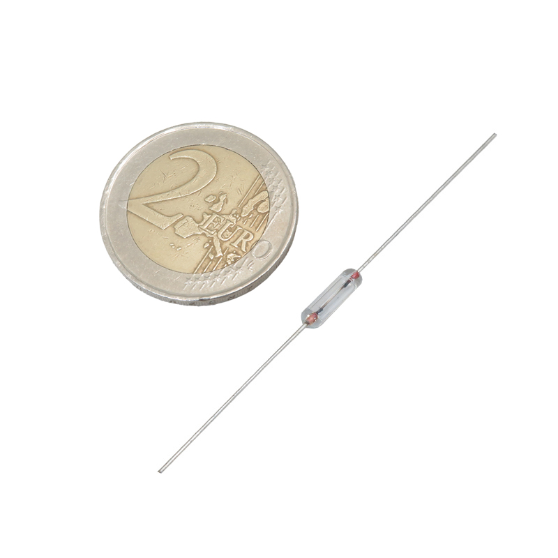 3 mm × 10 mm DIP Glass Fuse