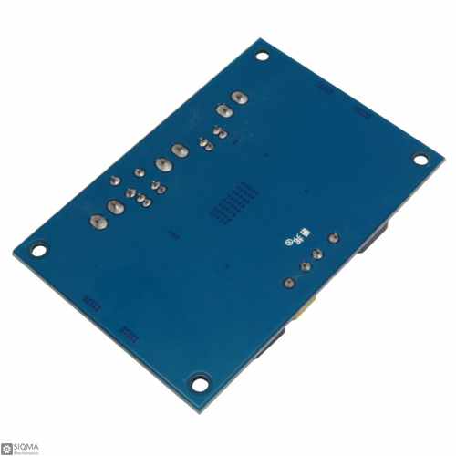 TPA3116D2 Mono Digital Audio Amplifier Module [100W]