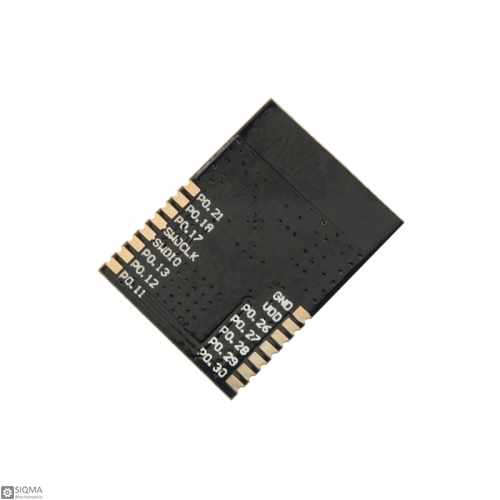 NRF52832 PA BLE5.0 Bluetooth Module